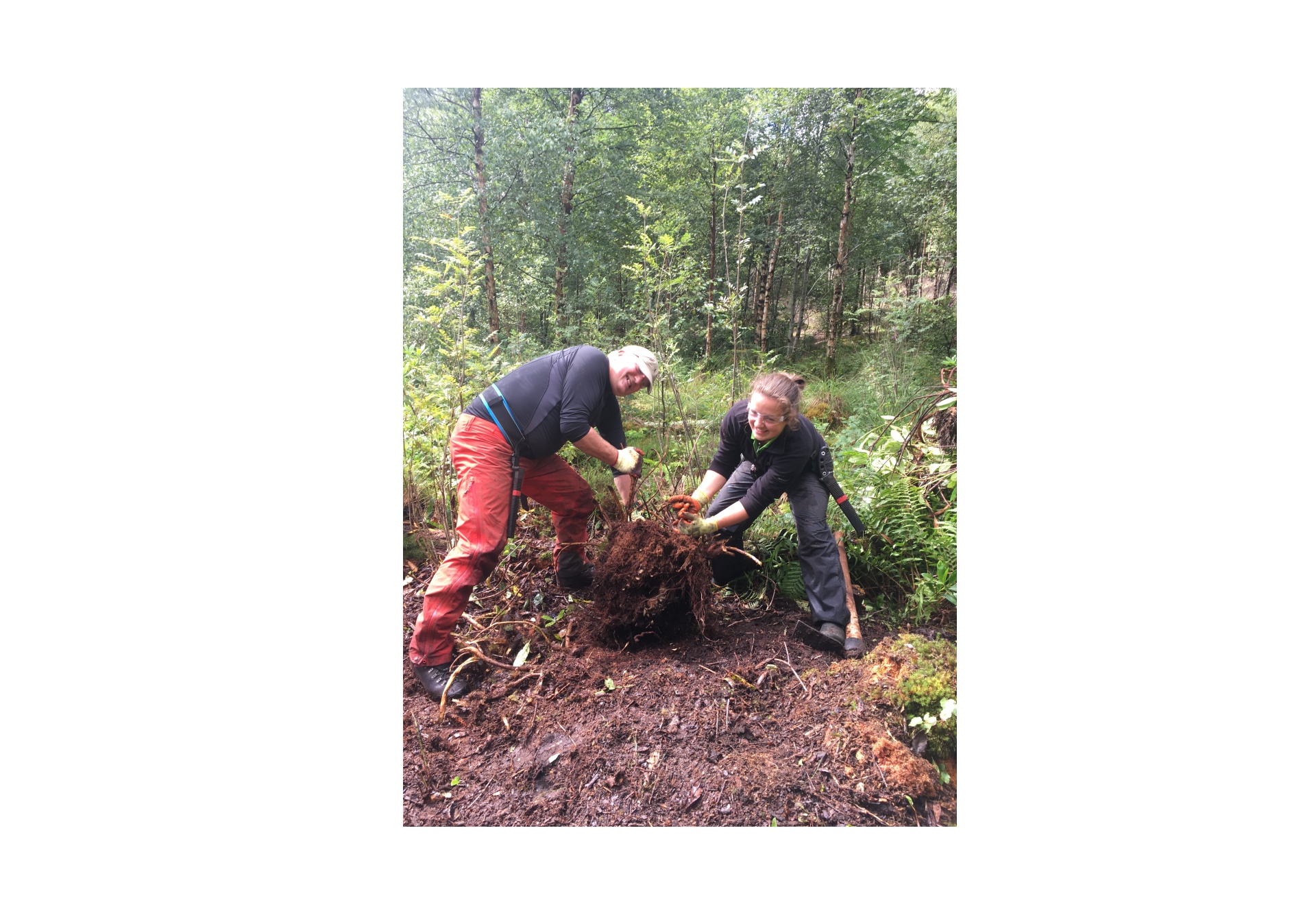 Valuable Countryside Ranger Training Receives National Award